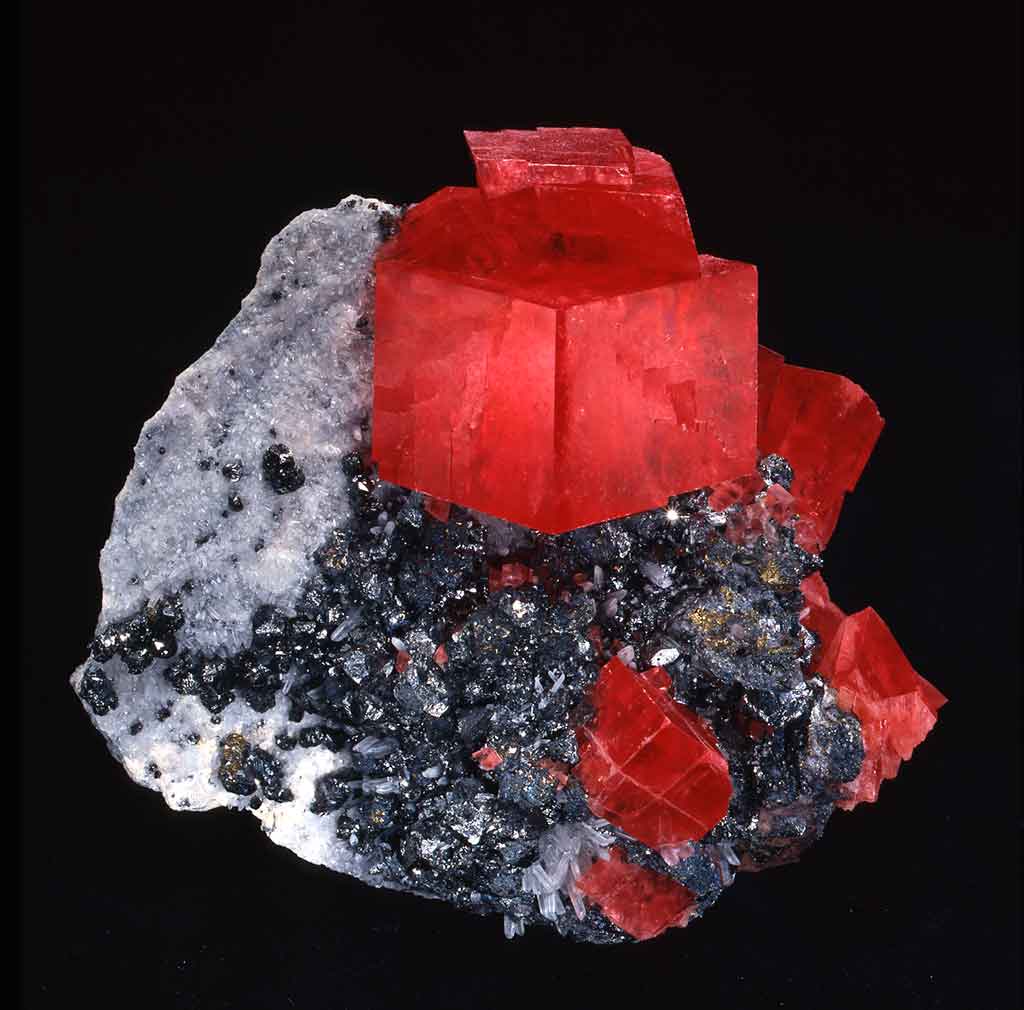 History - Collectors Edge